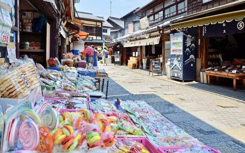 고에도 가와고에 가을 단풍 감상 당일 여행 클룩 Klook 한국